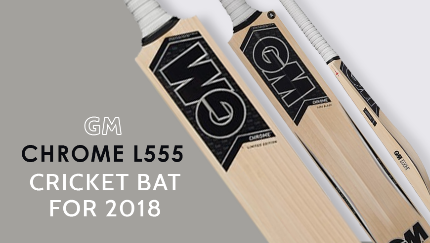 Learn About GM Chrome Cricket Bat 2018