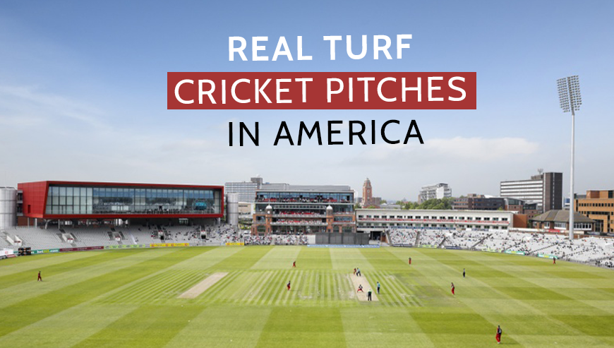 Cricket Ground Pitch