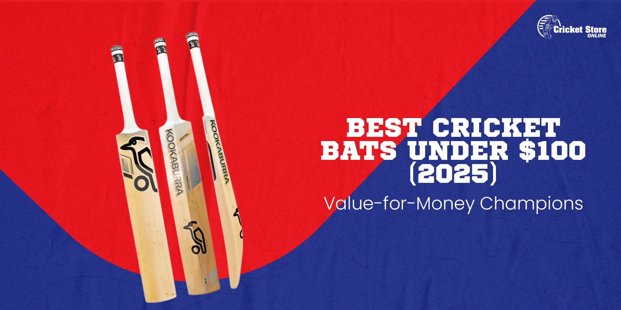 Best Cricket Bats Under $100 (2025): Value-for-Money Champions