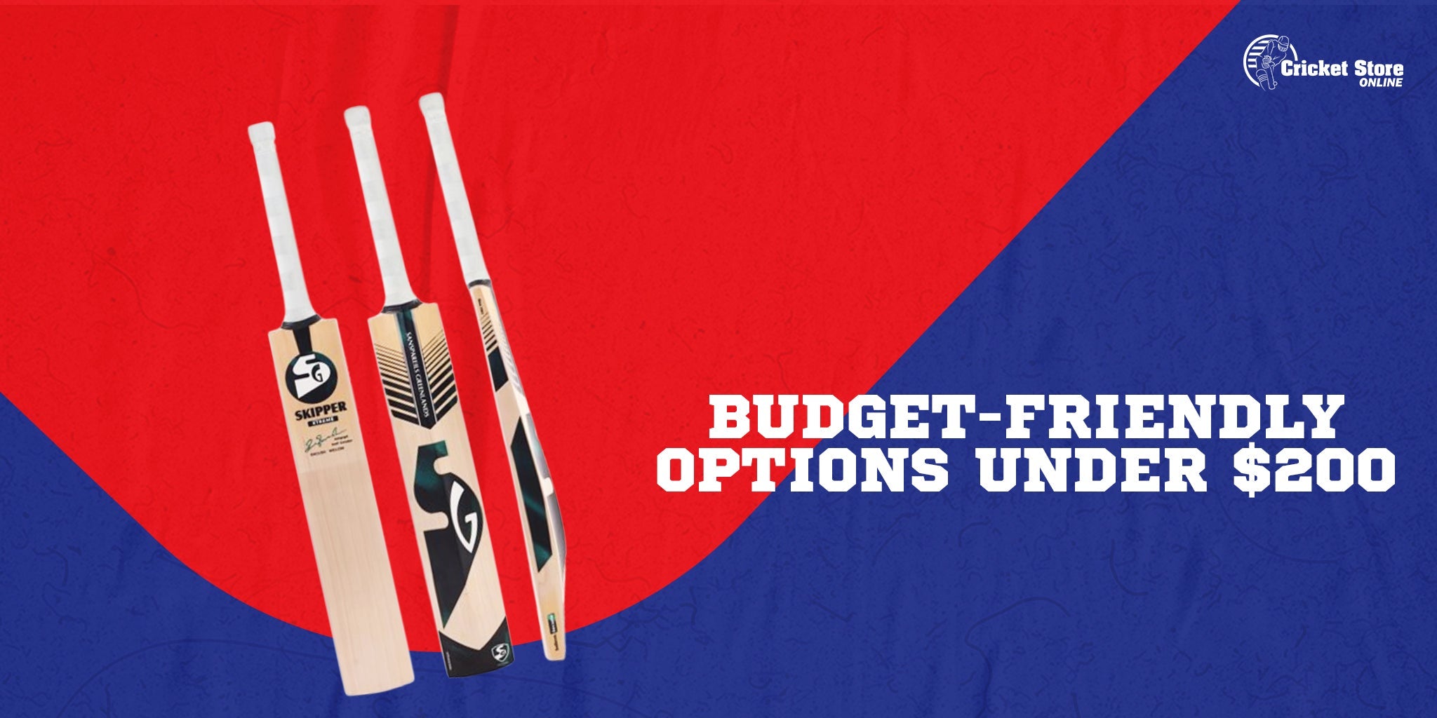 Complete Cricket Bat Buying Guide 2025: Budget-Friendly Options Under