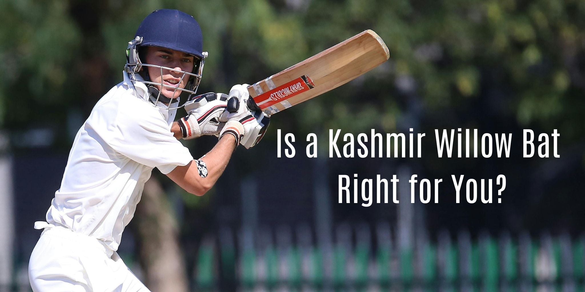 Cricket Bat Guide 2026 How to Choose, Prepare & Master Your Bat